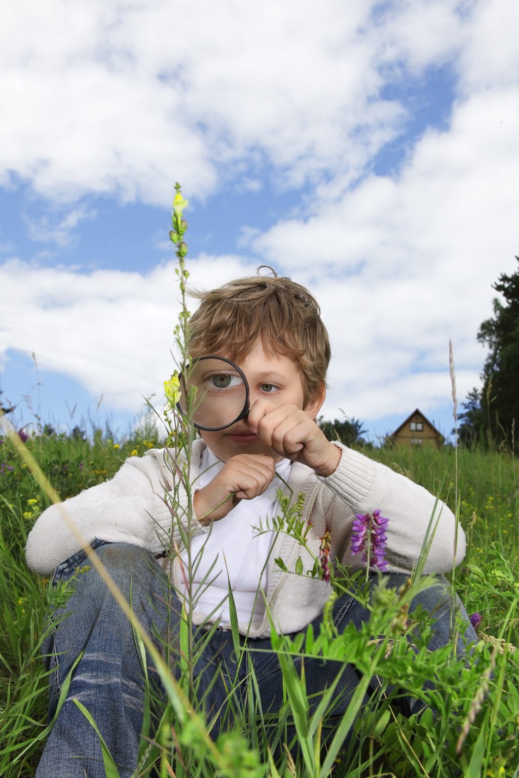 5 Tips to Make the Most of Your Free Look Period for Long Term Care ...